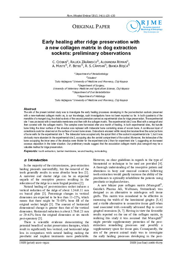 (PDF) Early healing after ridge preservation with a new collagen matrix in dog extraction ...