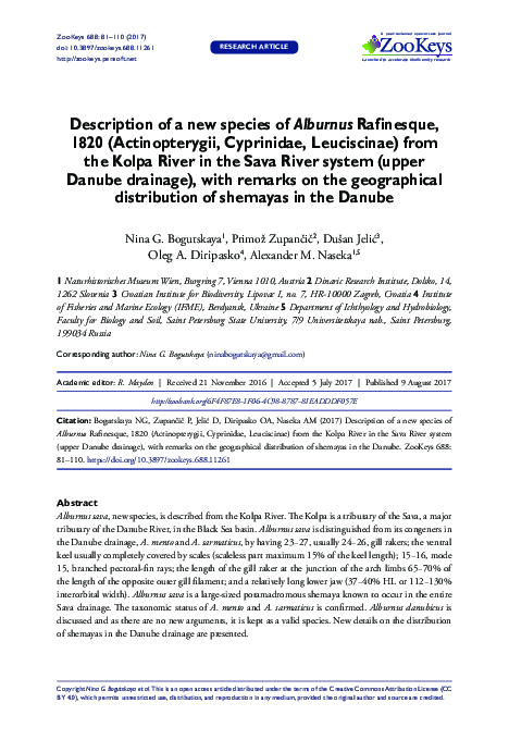 (PDF) Figure 1 from: Bogutskaya NG, Zupančič P, Jelić D, Diripasko OA ...