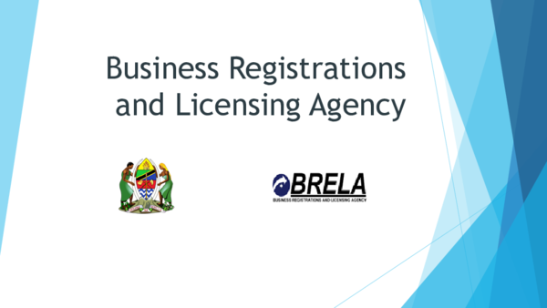 (PDF) Registration of Companies And Business Names BRELA Notes