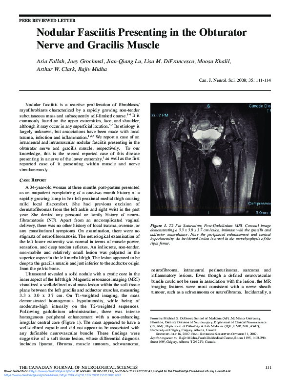 (PDF) Nodular Fasciitis Presenting in the Obturator Nerve and Gracilis ...