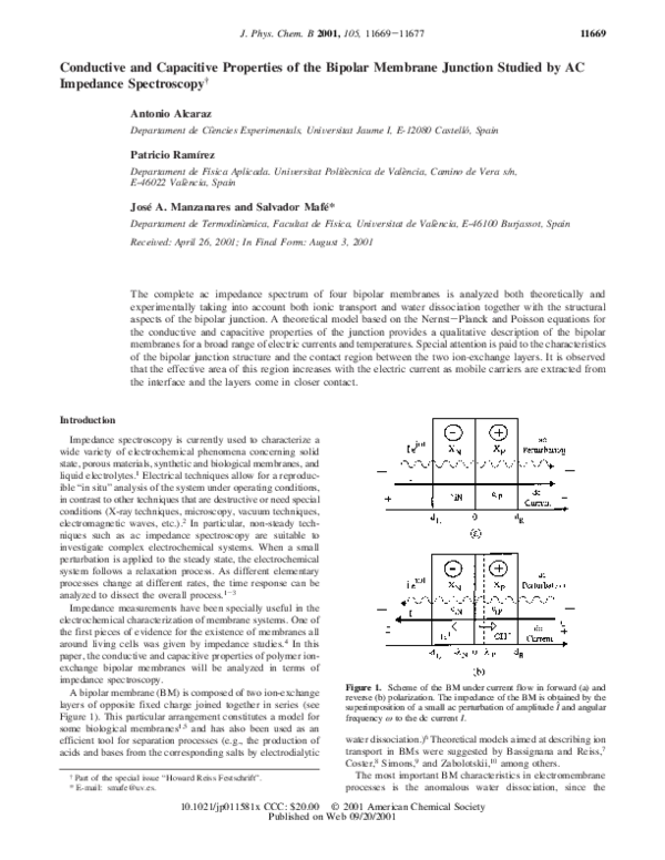 (PDF) Conductive and Capacitive Properties of the Bipolar Membrane ...