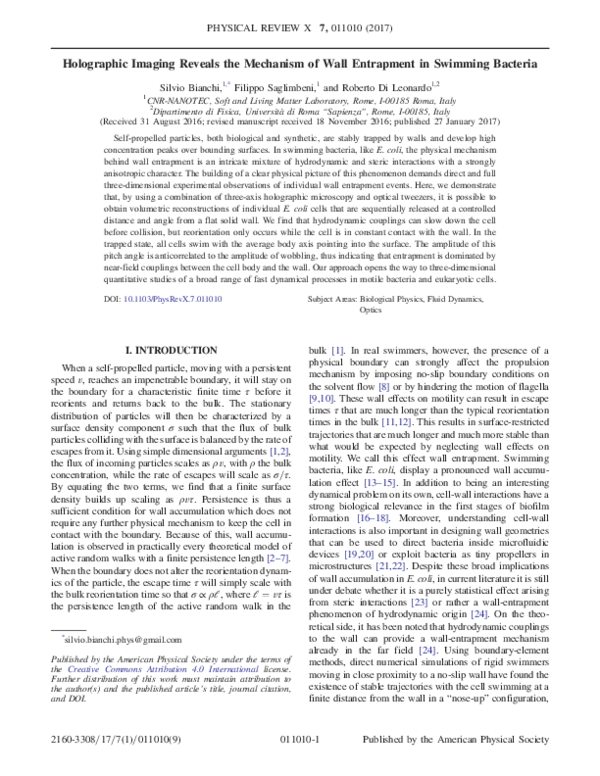 (PDF) Holographic Imaging Reveals the Mechanism of Wall Entrapment in ...