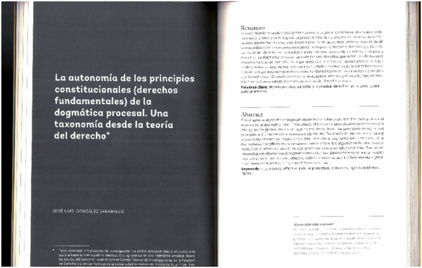 (PDF) La autonomía de los principios constitucionales –derechos ...