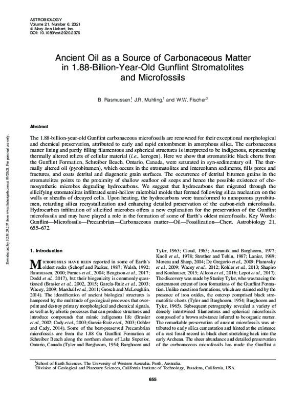 (PDF) Ancient Oil as a Source of Carbonaceous Matter in 1.88-Billion ...