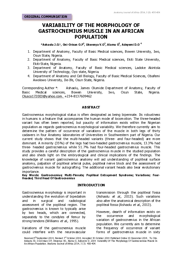 (PDF) Variability of the Morphology of Gastrocnemius Muscle in an ...