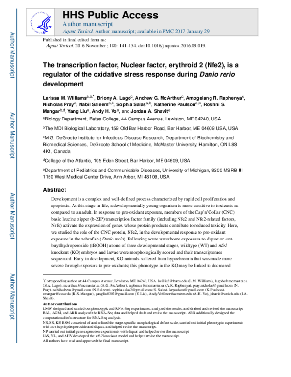 (PDF) The transcription factor, Nuclear factor, erythroid 2 (Nfe2), is ...