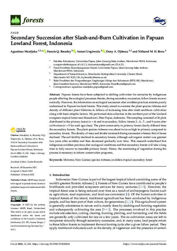 (PDF) Secondary Succession after Slash-and-Burn Cultivation in Papuan ...