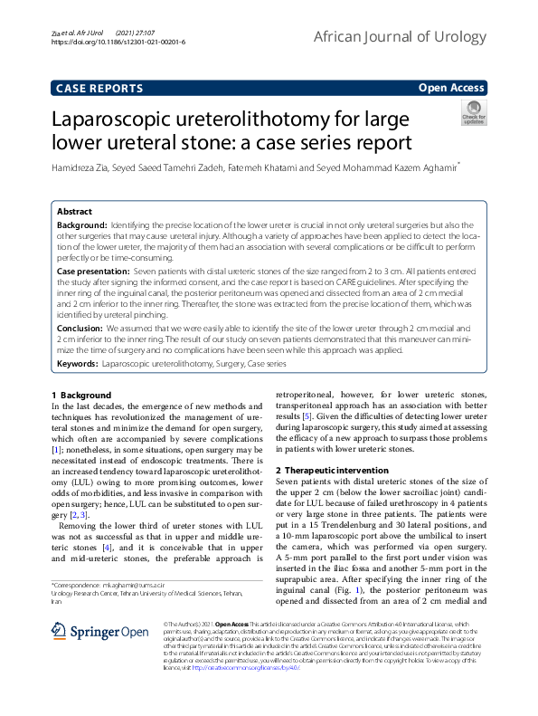 (PDF) Laparoscopic ureterolithotomy for large lower ureteral stone: a ...