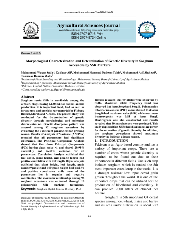 (PDF) Morphological Characterization and Estimation of Genetic Diversity of Sorghum Accessions ...