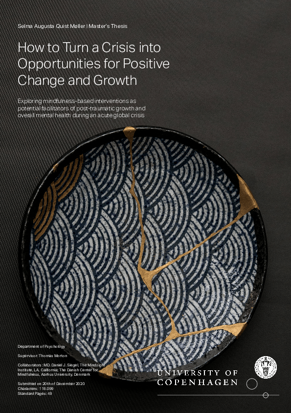 (PDF) How to Turn a Crisis into Opportunities for Positive Change and ...