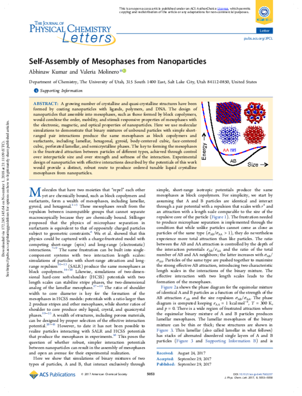 (PDF) Self-Assembly of Mesophases from Nanoparticles