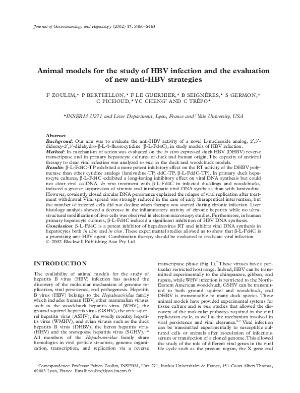 (PDF) Animal models for the study of HBV infection and the evaluation ...