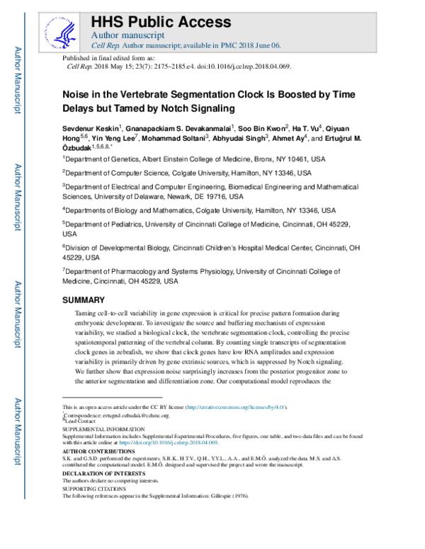 (PDF) Noise in the Vertebrate Segmentation Clock Is Boosted by Time ...