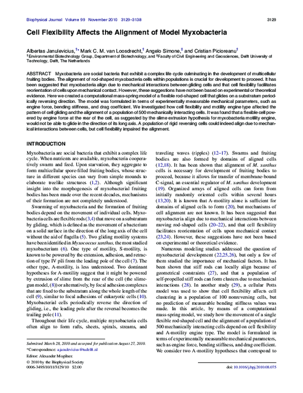 (PDF) Cell Flexibility Affects the Alignment of Model Myxobacteria