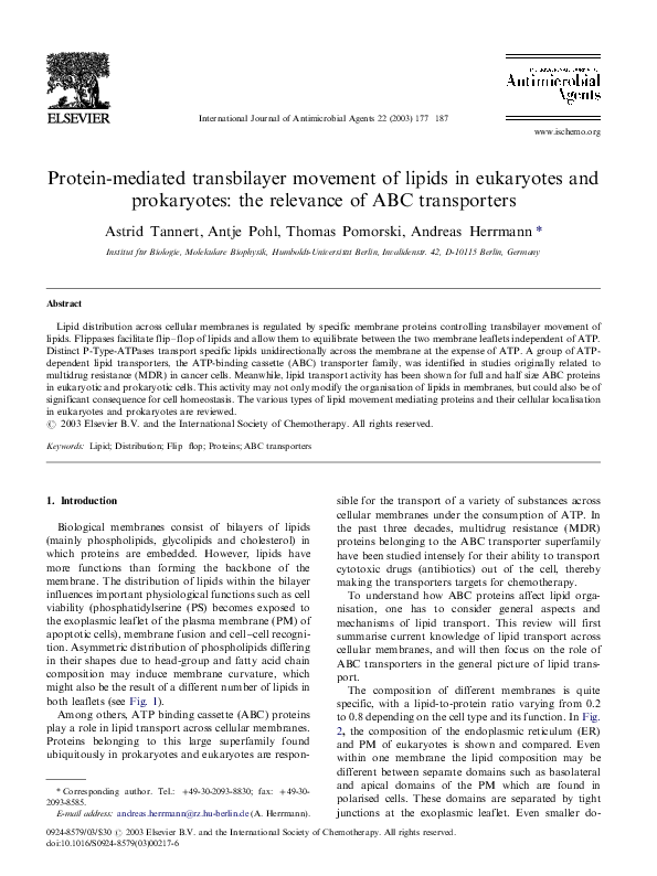 (PDF) Protein-mediated transbilayer movement of lipids in eukaryotes ...