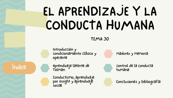 (PDF) EL APRENDIZAJE Y LA CONDUCTA HUMANA