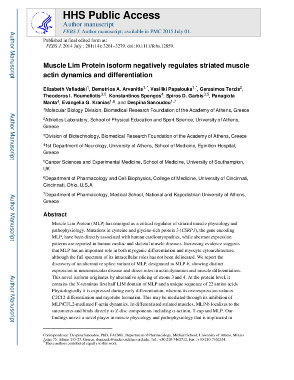 (PDF) Muscle lim protein isoform negatively regulates striated muscle ...