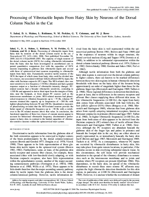 (PDF) Processing of Vibrotactile Inputs From Hairy Skin by Neurons of the Dorsal Column Nuclei ...