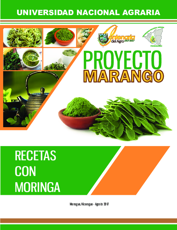 (PDF) Proyecto Marango: Recetas con Moringa
