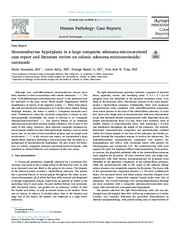 (PDF) Neuroendocrine hyperplasia in a large composite adenoma ...