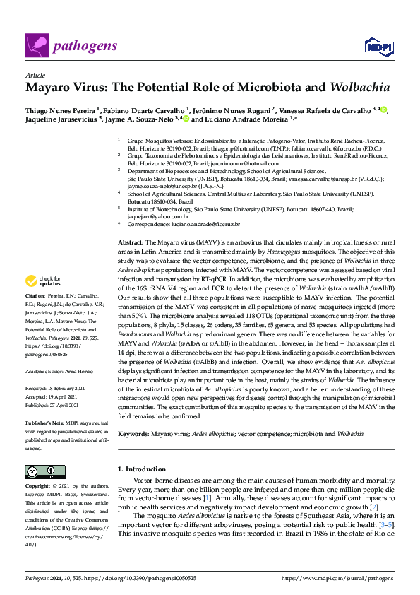 (PDF) Mayaro Virus: The Potential Role of Microbiota and Wolbachia