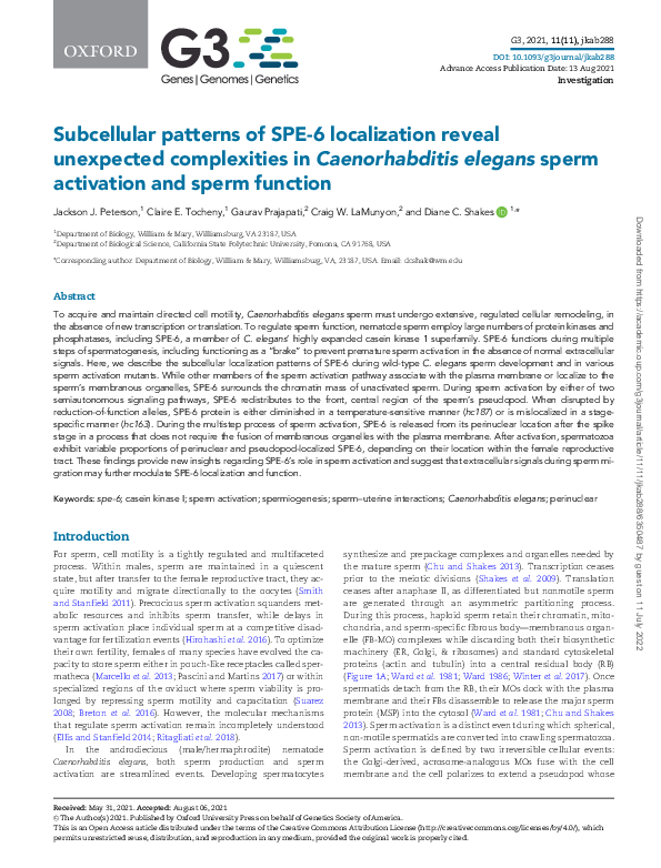 Pdf Subcellular Patterns Of Spe 6 Localization Reveal Unexpected