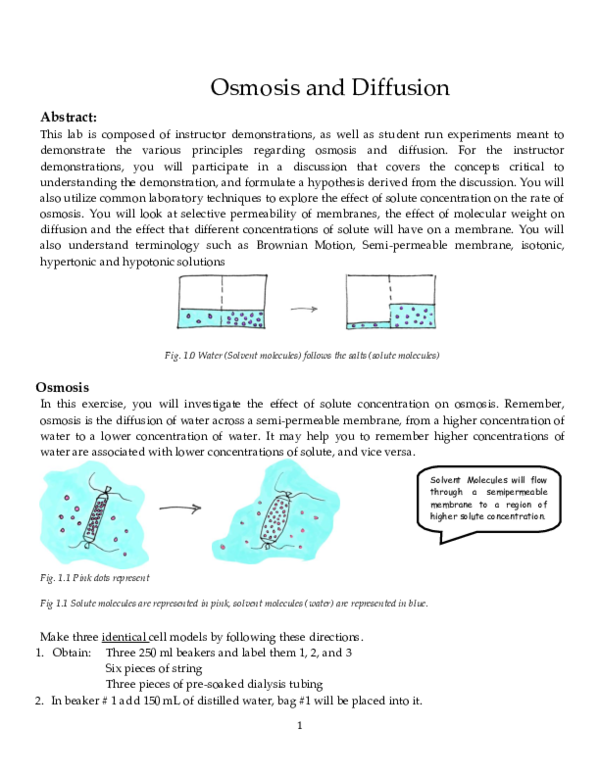 (PDF) Osmosis and Diffusion