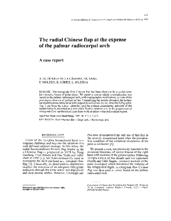 (PDF) The radial Chinese flap at the expense of the palmar radiocarpal arch