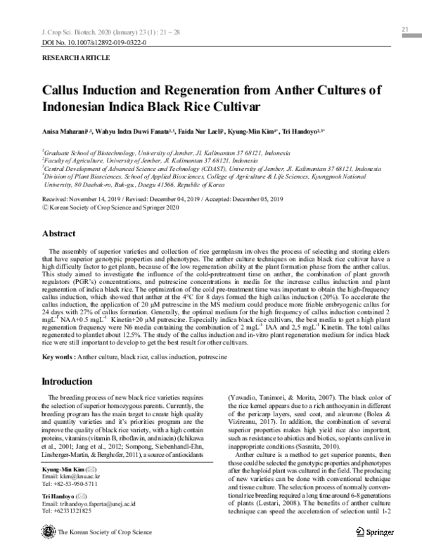 (PDF) Callus Induction and Regeneration from Anther Cultures of ...