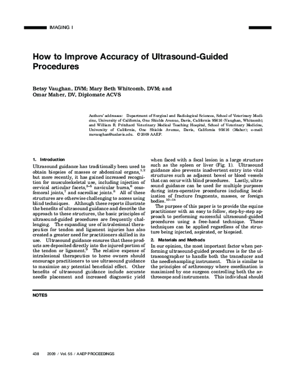 (PDF) How to Improve Accuracy of Ultrasound-Guided Procedures