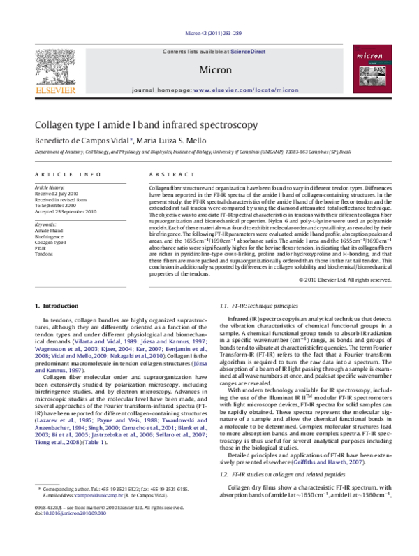 (PDF) Collagen type I amide I band infrared spectroscopy