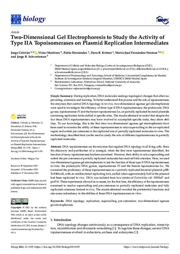 (PDF) Two-Dimensional Gel Electrophoresis to Study the Activity of Type ...