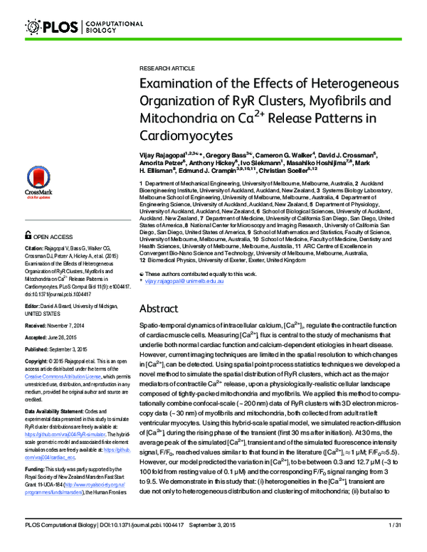 (PDF) Examination of the Effects of Heterogeneous Organization of RyR ...