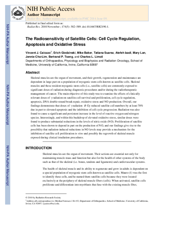 (PDF) The Radiosensitivity of Satellite Cells: Cell Cycle Regulation ...