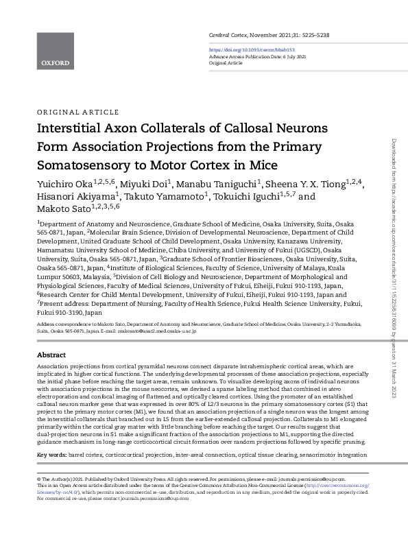 (PDF) Axon Collaterals Connect Somatosensory to Motor Cortex