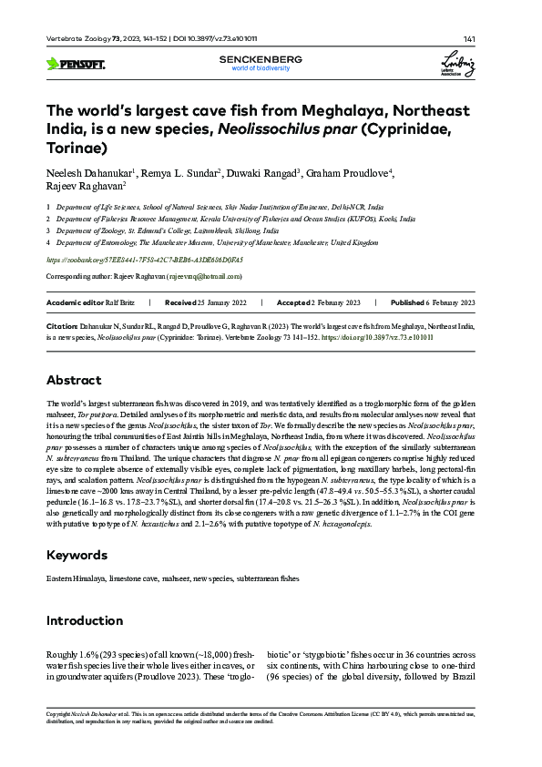 (PDF) The world’s largest cave fish from Meghalaya, Northeast India, is ...
