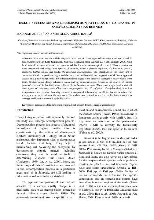 (PDF) Insect succession and decomposition patterns of carcasses in ...
