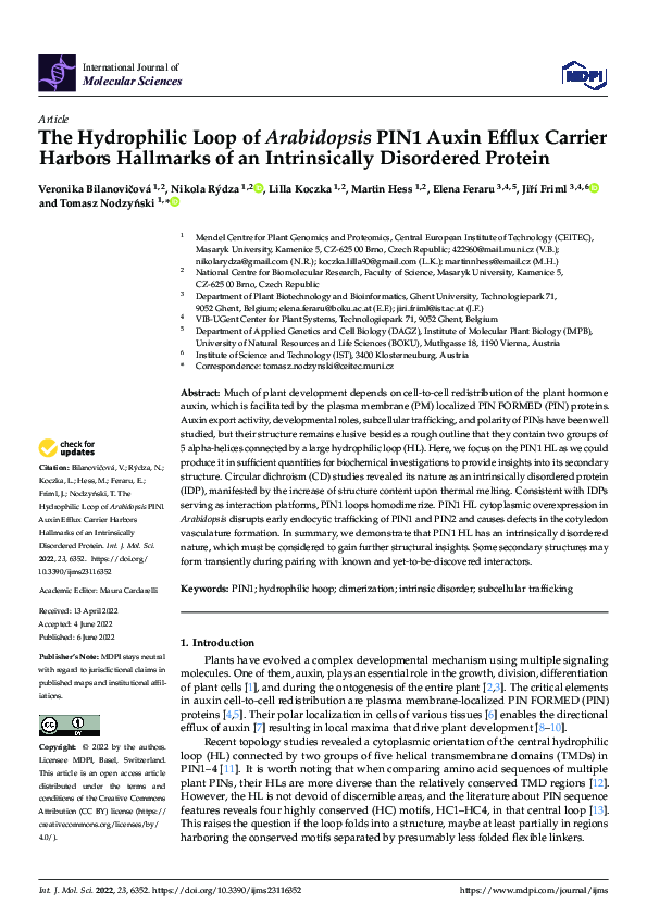 (PDF) The Hydrophilic Loop of Arabidopsis PIN1 Auxin Efflux Carrier ...