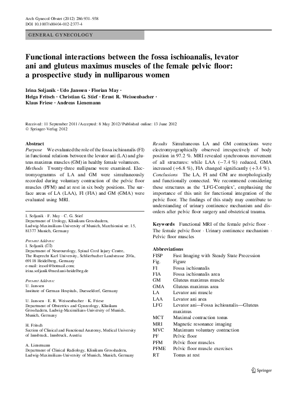(PDF) Functional interactions between the fossa ischioanalis, levator ...