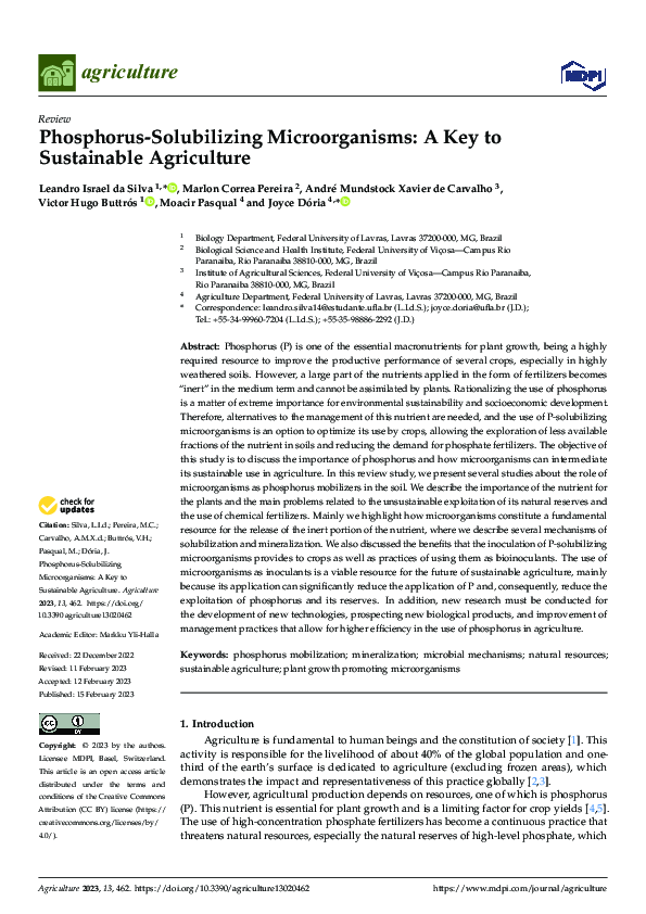 Phosphorus-Solubilizing Microorganisms: A Key to Sustainable Agriculture