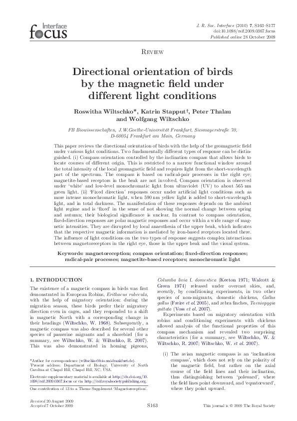 (PDF) Directional orientation of birds by the magnetic field under ...