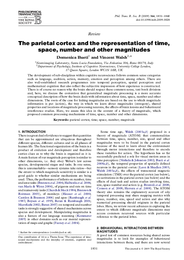 (PDF) The parietal cortex and the representation of time, space, number and other magnitudes