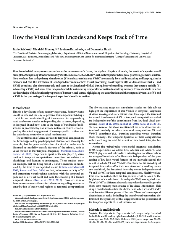 (PDF) How the Visual Brain Encodes and Keeps Track of Time