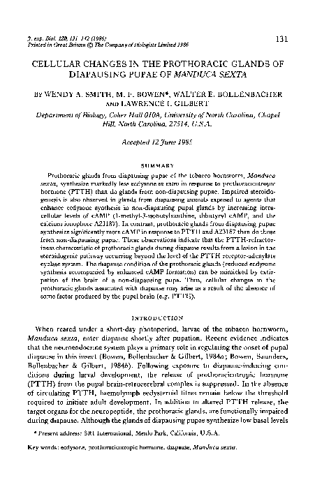 (PDF) Cellular changes in the prothoracic glands of diapausing pupae of ...