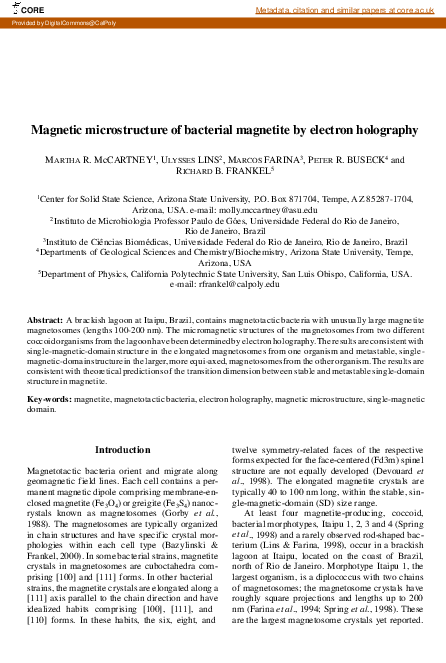 (PDF) Magnetic microstructure of bacterial magnetite by electron holography