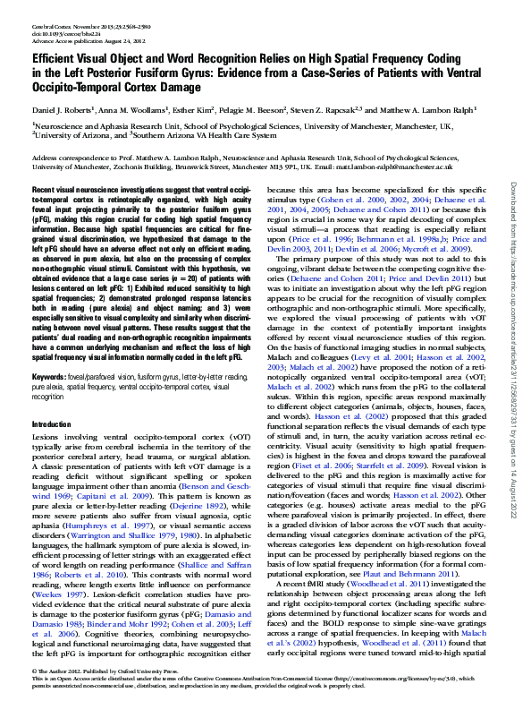 Pdf Efficient Visual Object And Word Recognition Relies On High