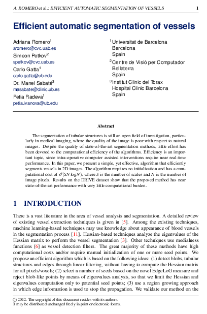 (PDF) Efficient 2D Vessel Segmentation Algorithm