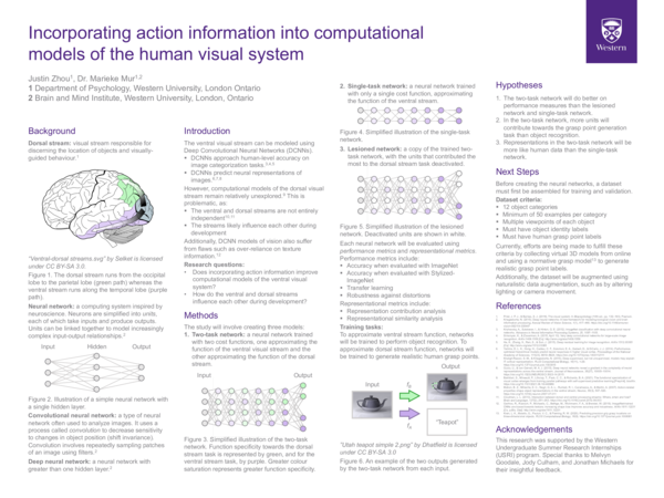 (PDF) Incorporating action information into computational models of the human visual system