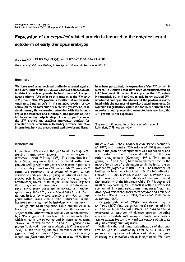 (PDF) Expression of an engrailed-related protein is induced in the ...