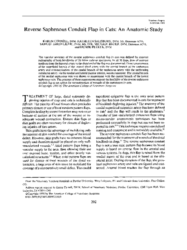 (PDF) Reverse Saphenous Conduit Flap in Cats: An Anatomic Study